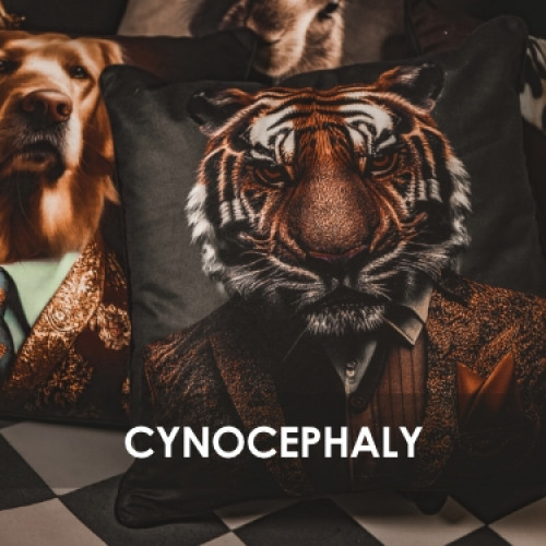 Welcome To Sifcon International Plc - silplc.com